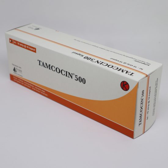 Nizol Tablet - PT Pyridam Farma Tbk.